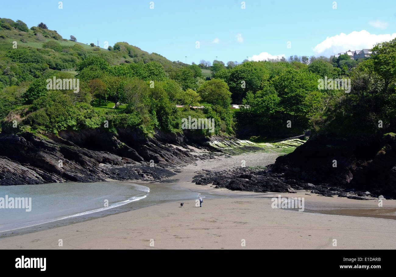 Ilfracombe Beach Stock Photos & Ilfracombe Beach Stock Images - Alamy
