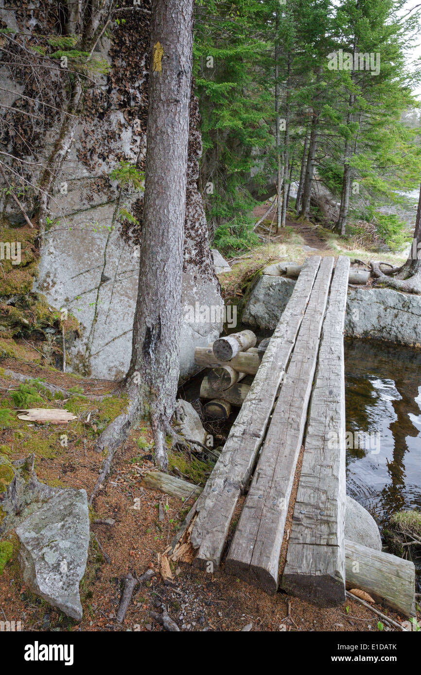 Saco Lake Trail in Crawford Notch State Park of New Hampshire USA Stock ...