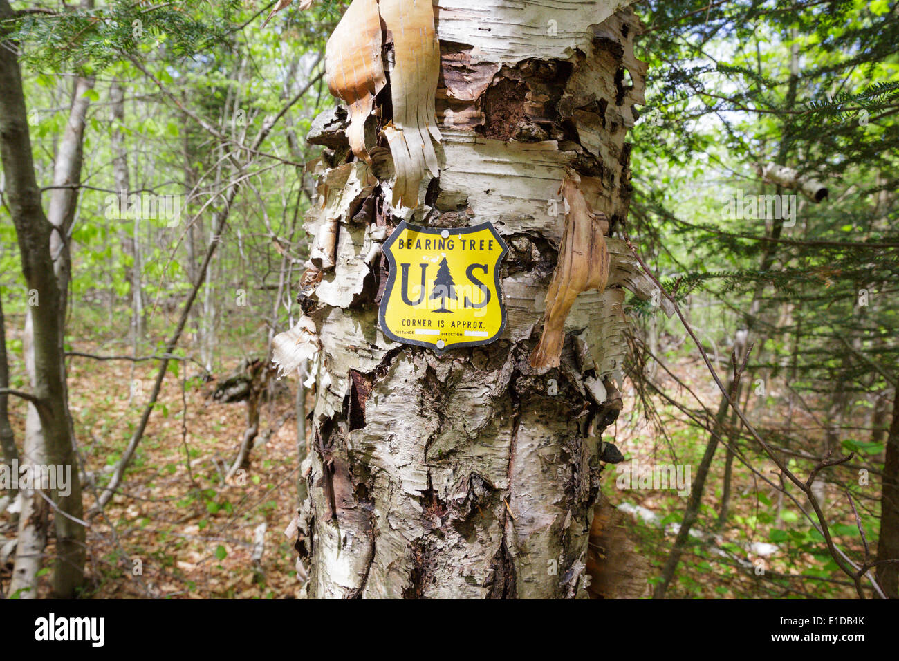 Land survey marker hi-res stock photography and images - Alamy