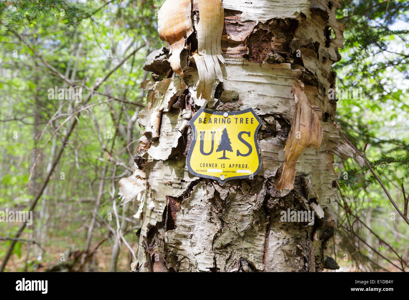 Land survey marker hi-res stock photography and images - Alamy