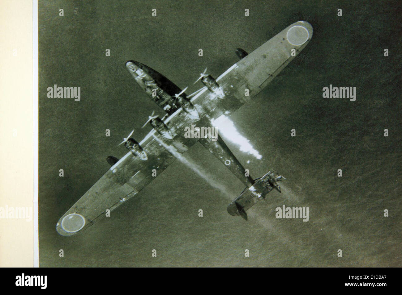 The Kawanishi H6K, also known as the 'Mavis,' was a Japanese flying ...