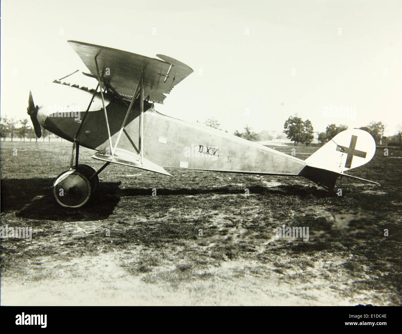 The LFG Roland D.XV was a German biplane used during World War I. Known ...