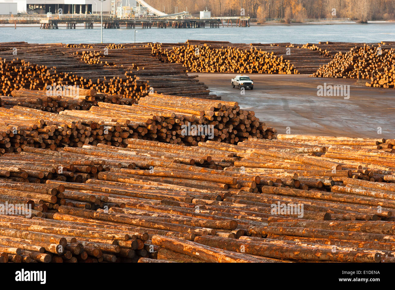 Timber Wood Log Lumber Processing Plant Riverside Columbia River Stock ...