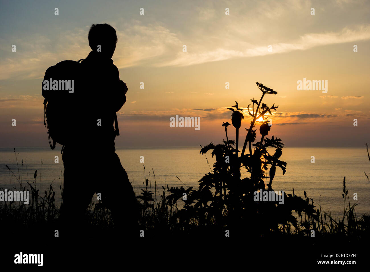 Walker at Nose`s Point near Seaham at sunrise on the Durham Heritage ...