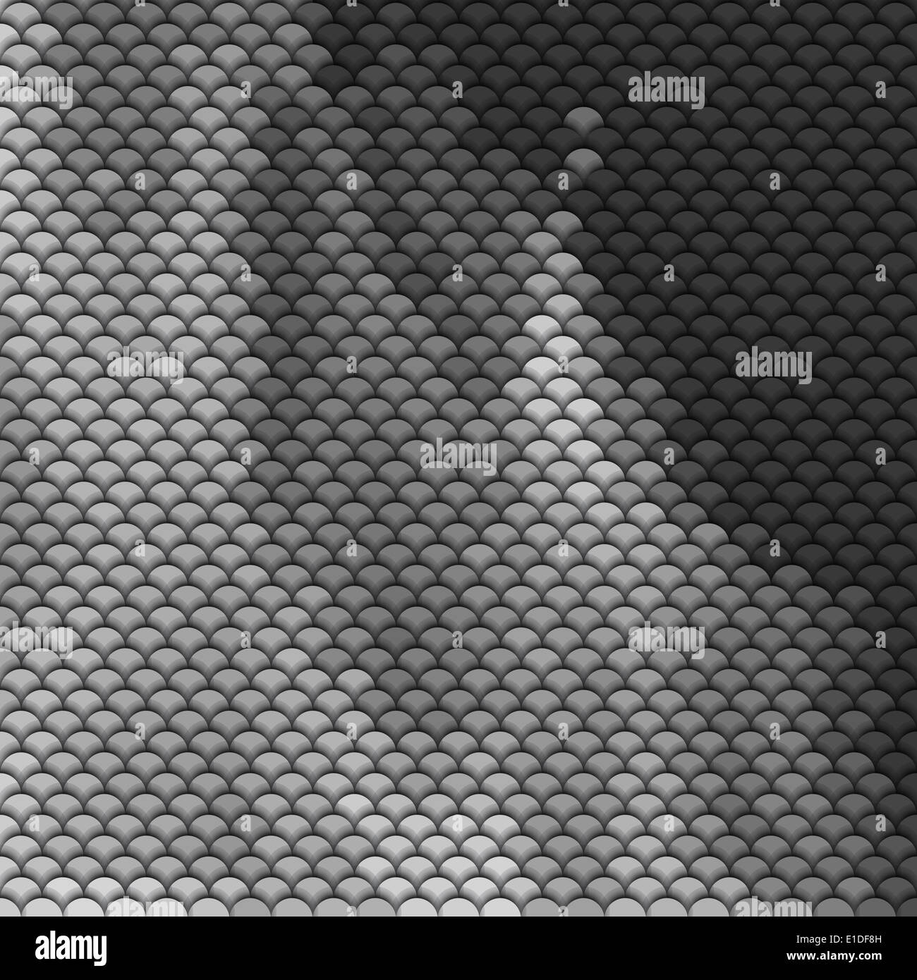 Smooth scales Black and White Stock Photos & Images - Alamy