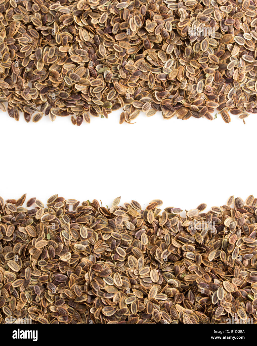 dried dill seeds isolated on white background Stock Photo - Alamy