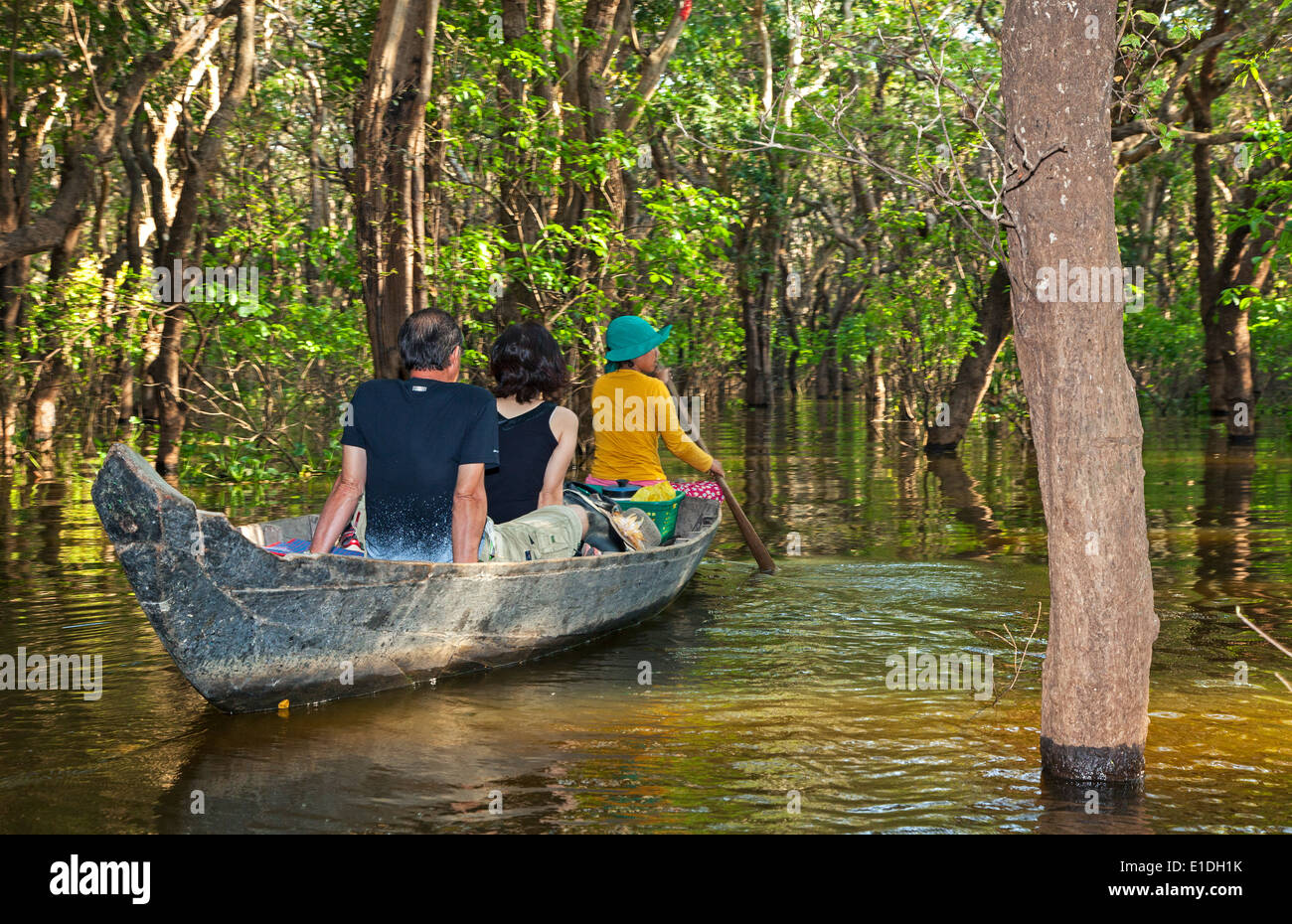 A Woman Taking Tourists Through the Flooded Forest Near Kampong Phulk ...