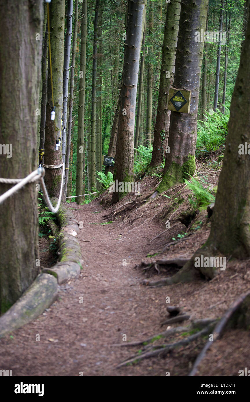 Steep path hi-res stock photography and images - Alamy