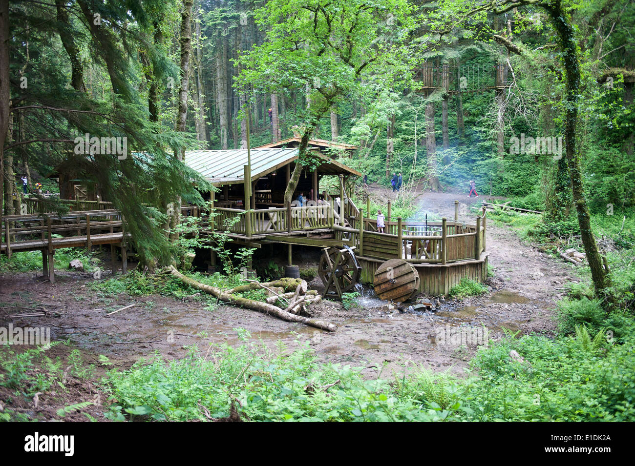 A log cabin in the woods with a fire burning Stock Photo - Alamy