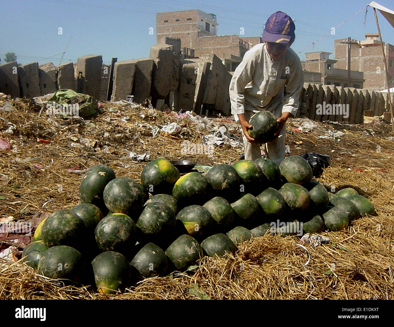 Peshawar. 1st June, 2014. A Pakistani boy arranges watermelons on ...