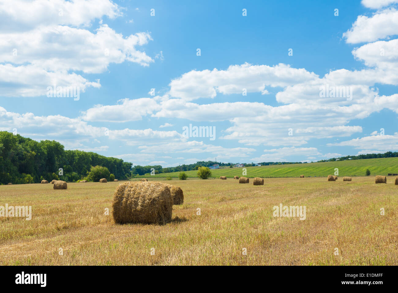 Hay in a roll hi-res stock photography and images - Alamy