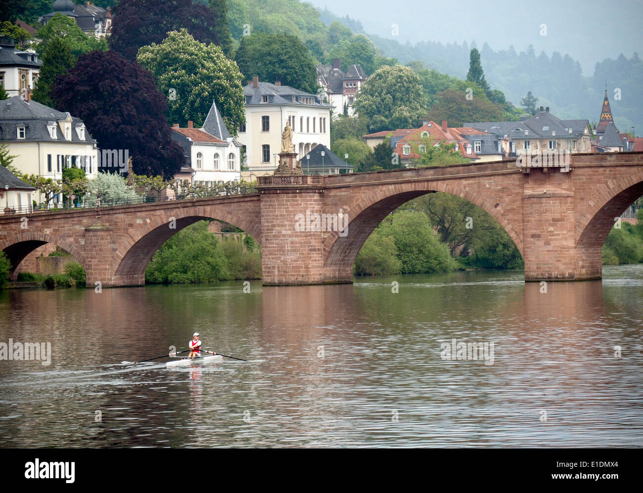 Heidelberg man hi-res stock photography and images - Alamy