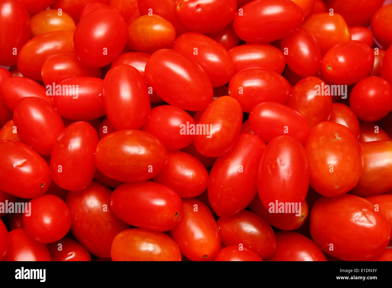 A small shiny tomato for red background Stock Photo - Alamy