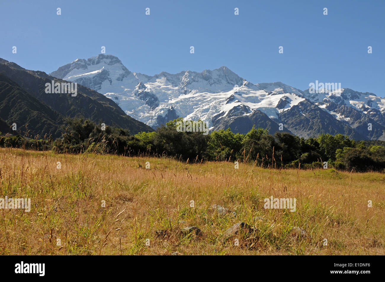 New Zealand Mount Cook Stock Photo - Alamy