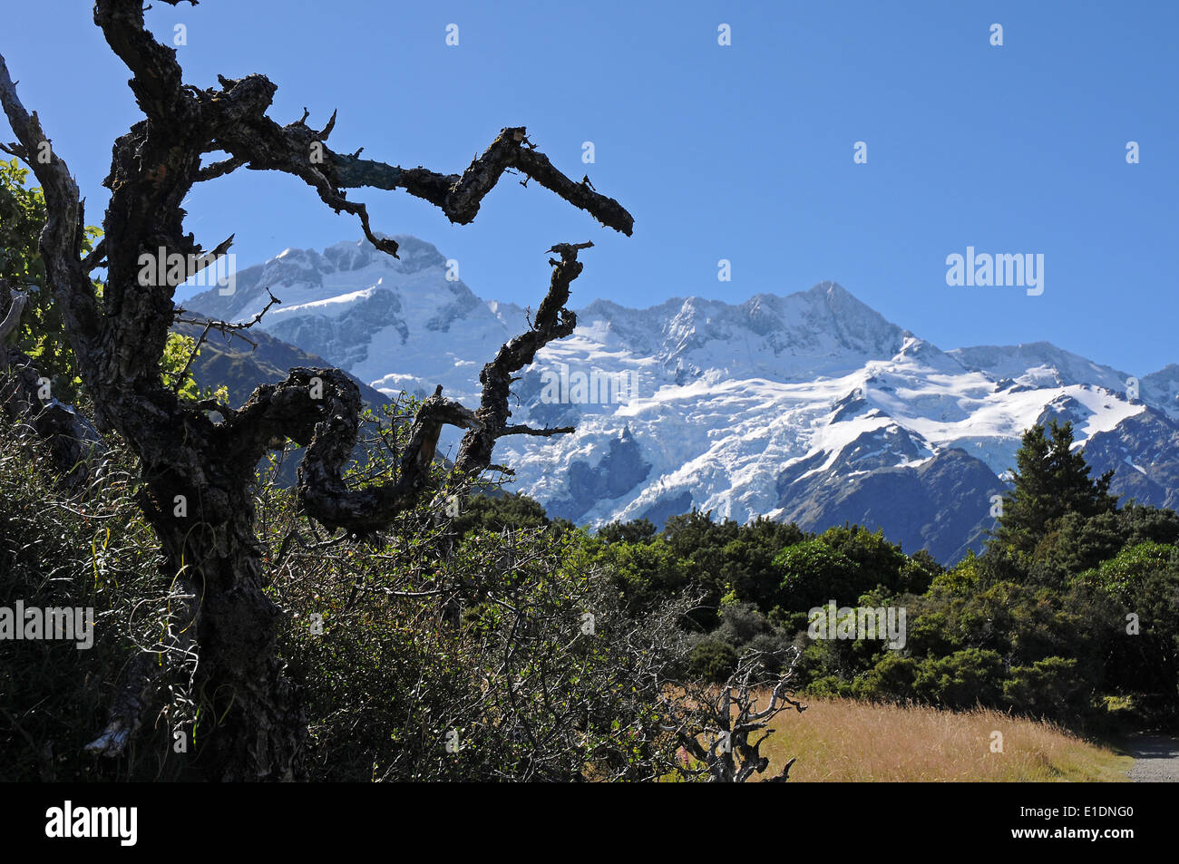 New Zealand Mount Cook Stock Photo - Alamy