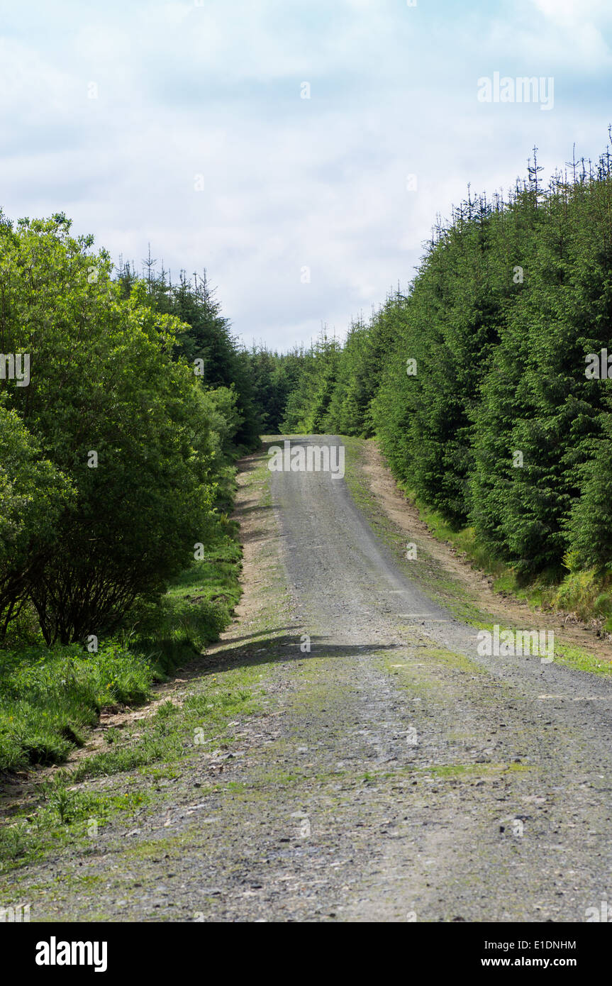 Gravel road woods hi-res stock photography and images - Alamy