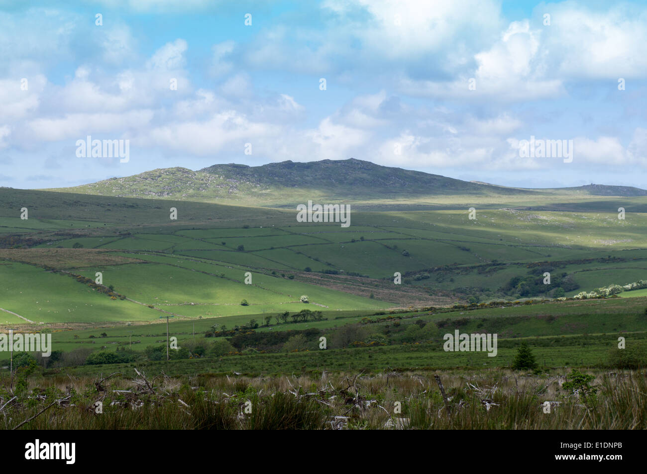 Brown willy hi-res stock photography and images - Alamy