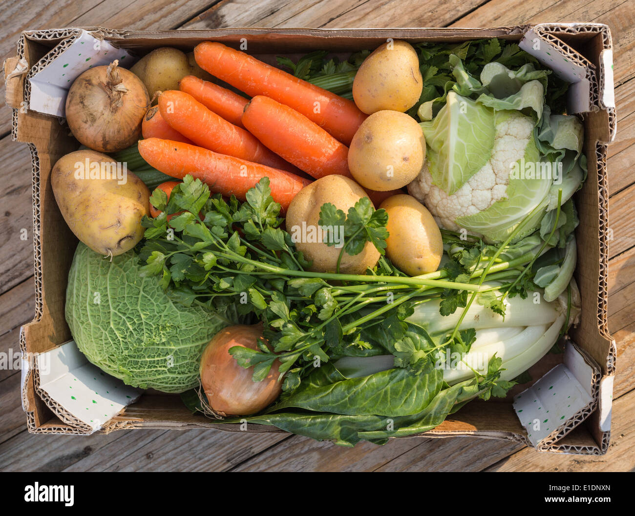 Plant in cardboard box hi-res stock photography and images - Alamy