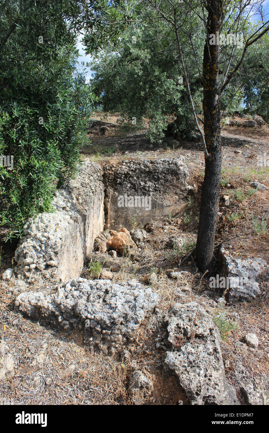 Roman water cistern, ruins among the olives of Andalucia Stock Photo ...