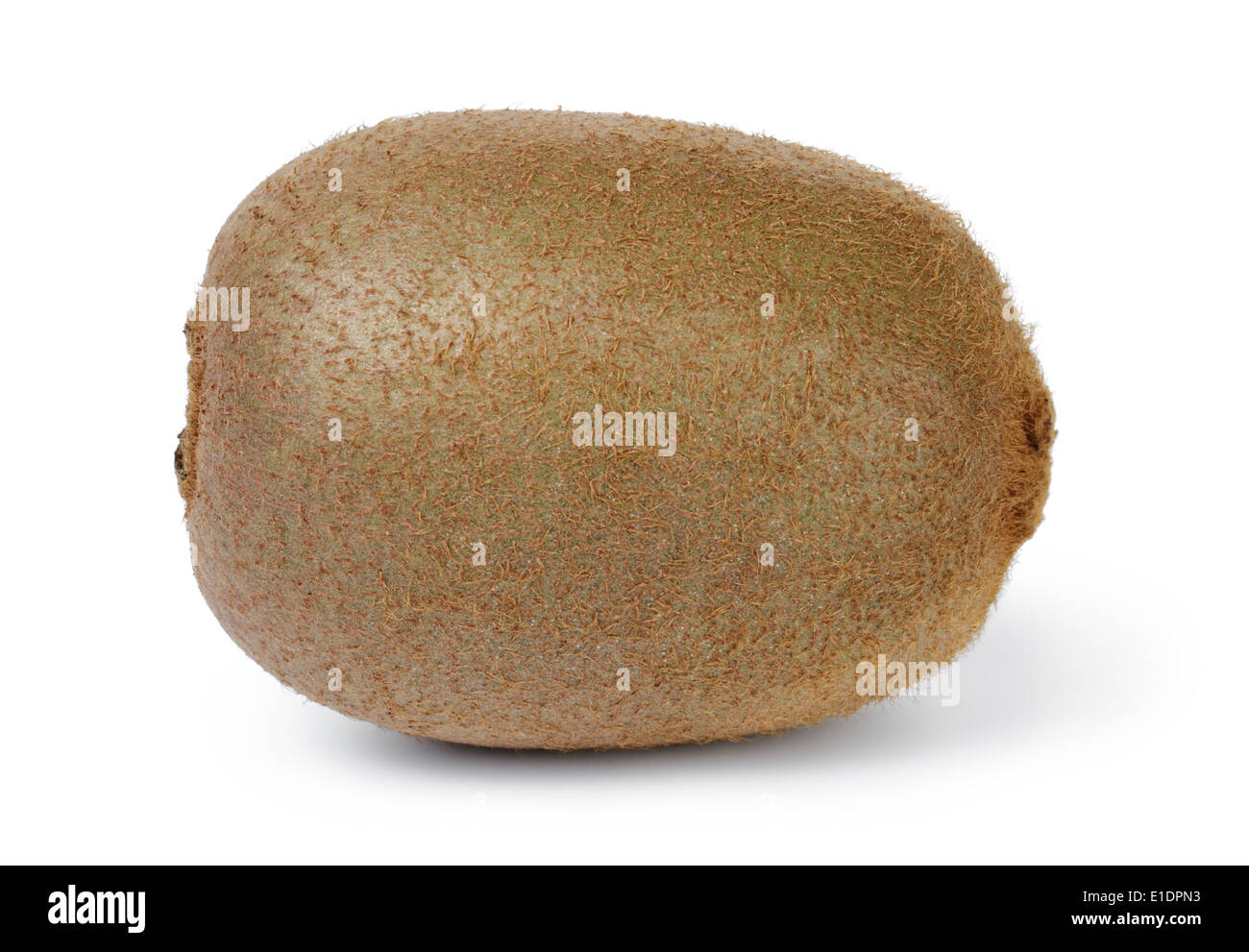 single fresh kiwi fruit, isolated on white background Stock Photo - Alamy