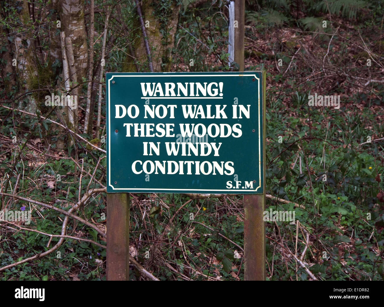sign in woods warning about hazards in windy conditions Stock Photo - Alamy