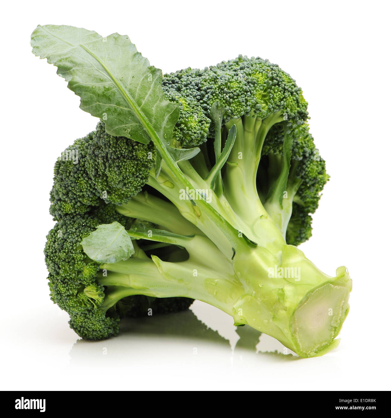 Broccoli vegetable isolated on white background Stock Photo - Alamy