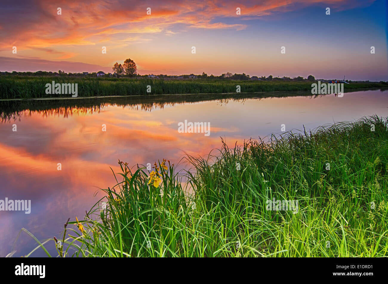 Rural summer sunset Stock Photo - Alamy