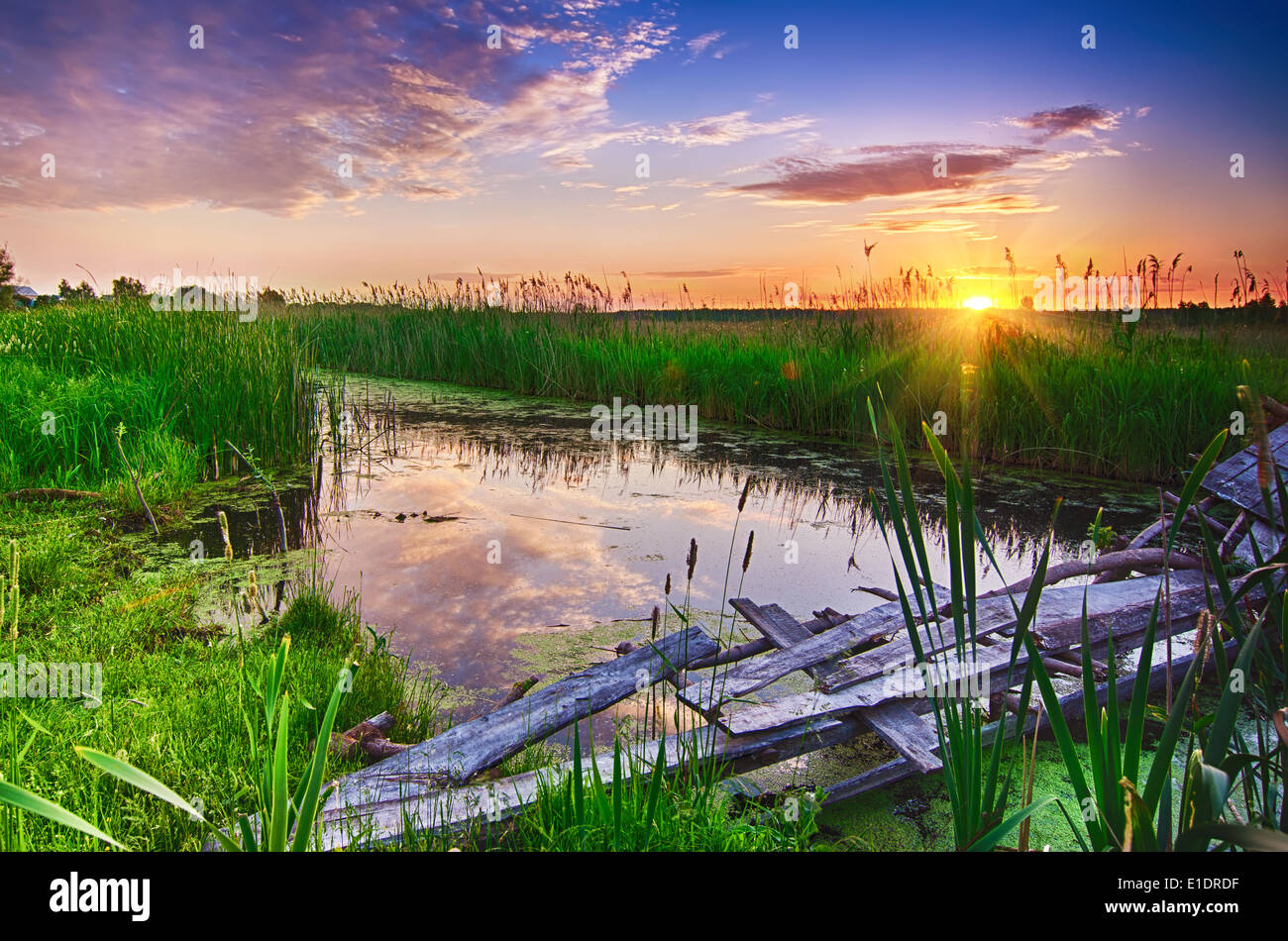 Rural summer sunrise Stock Photo - Alamy