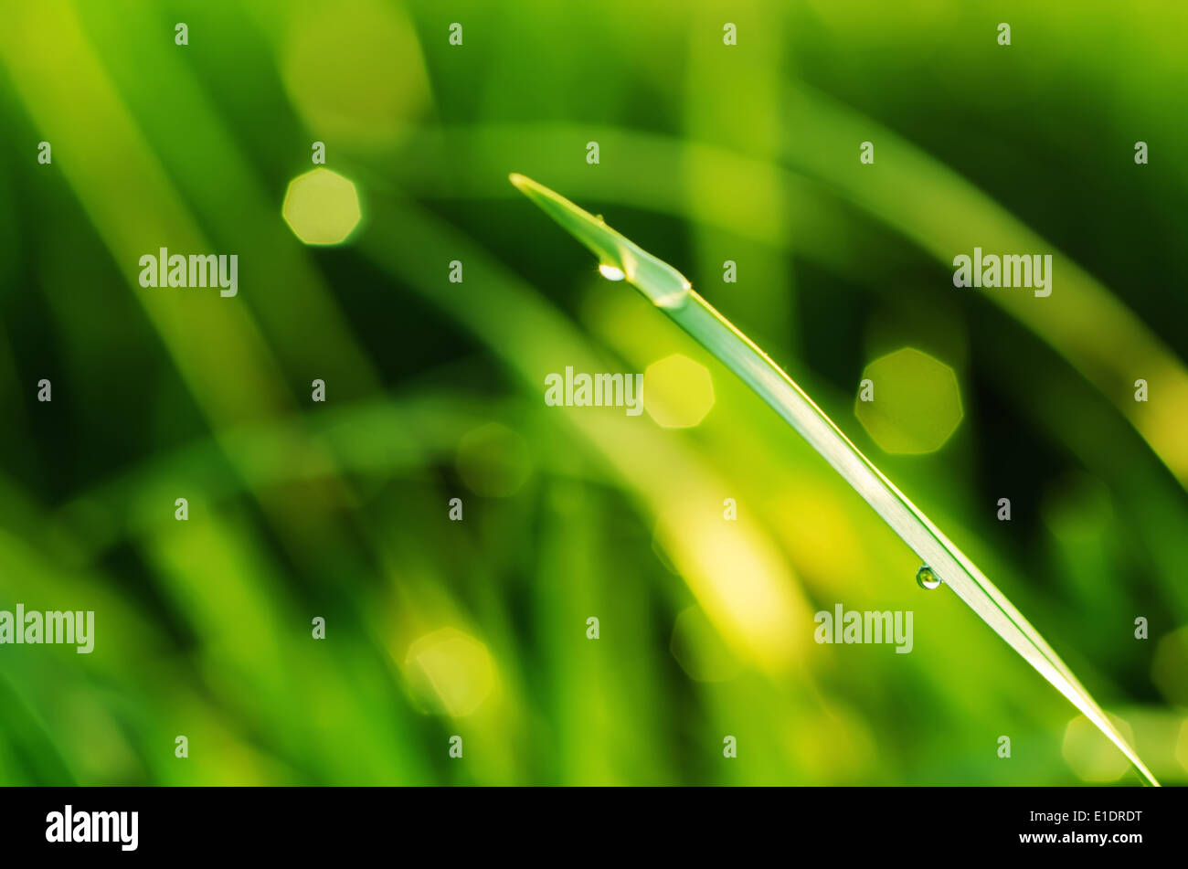 Natural abstract background Stock Photo - Alamy