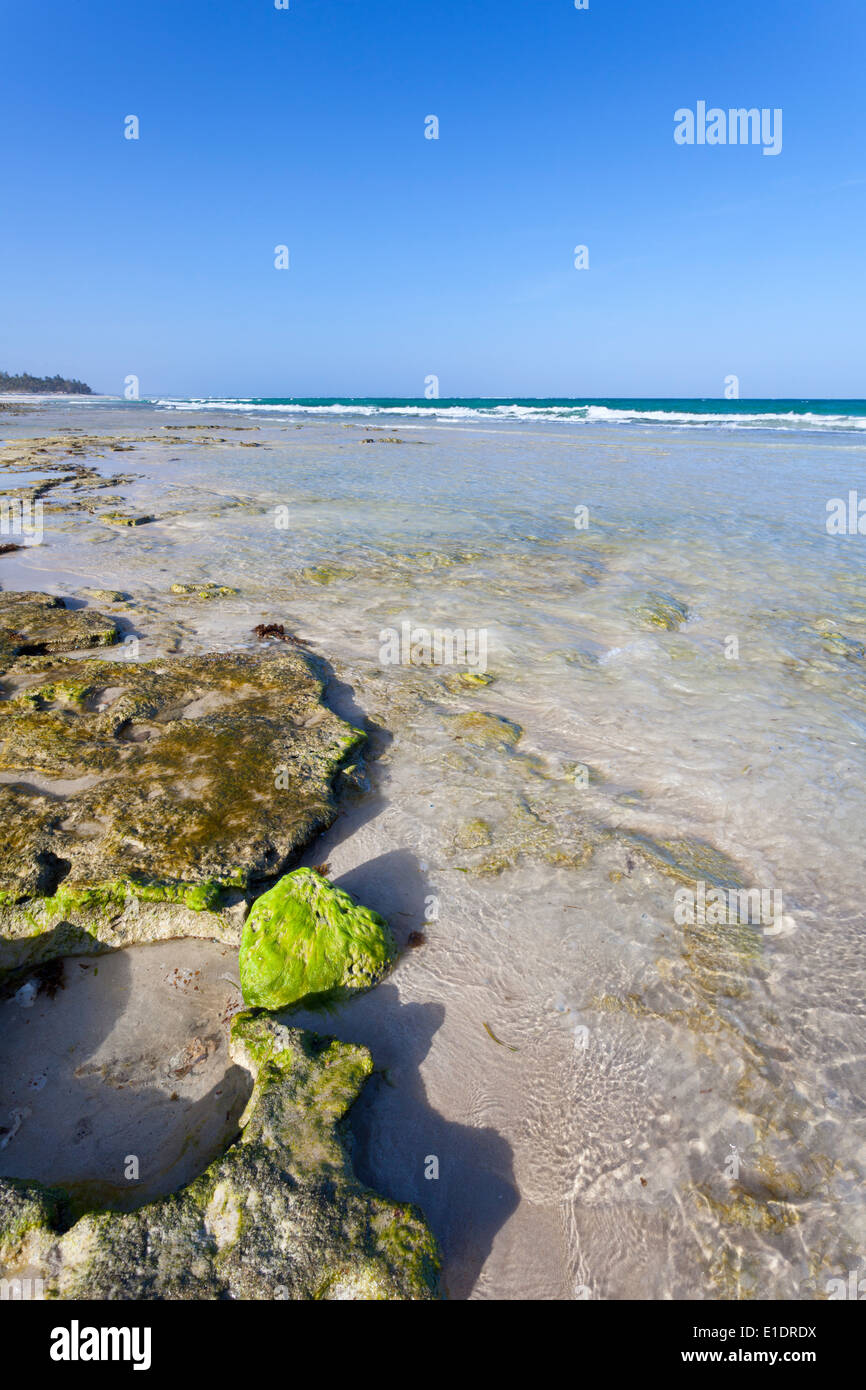 Coral blocks hi-res stock photography and images - Alamy