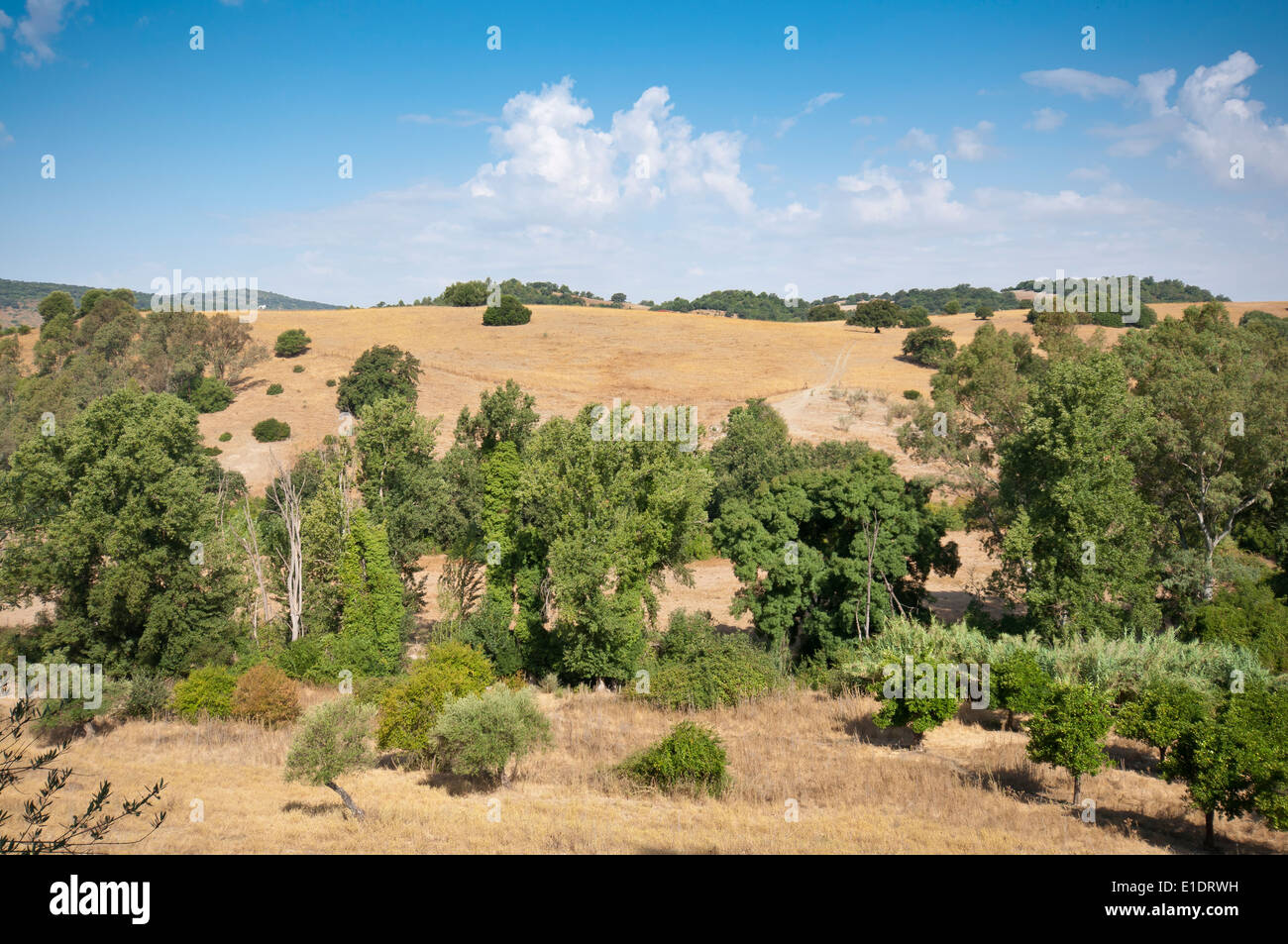Andalusia el bosque spain hi-res stock photography and images - Alamy