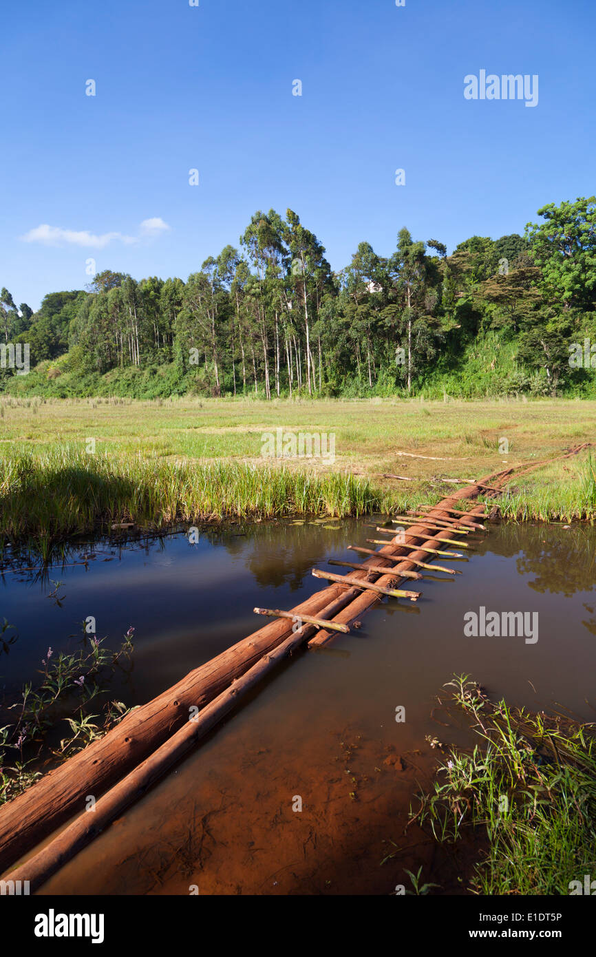 The famous Ondiri Swamp in Kikuyu near Nairobi in Kenya. The floating ...