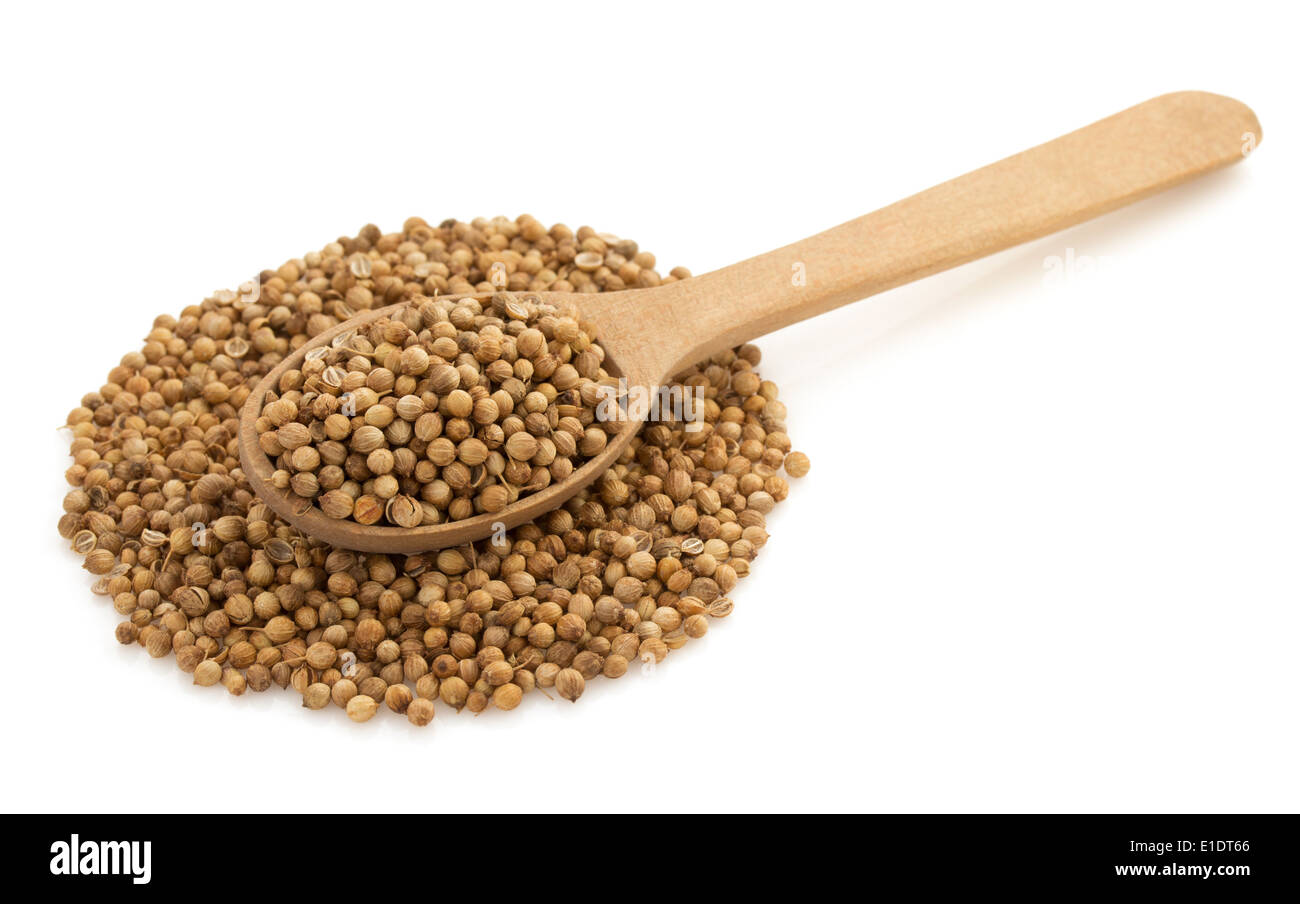 coriander spices in spoon isolated on white background Stock Photo - Alamy