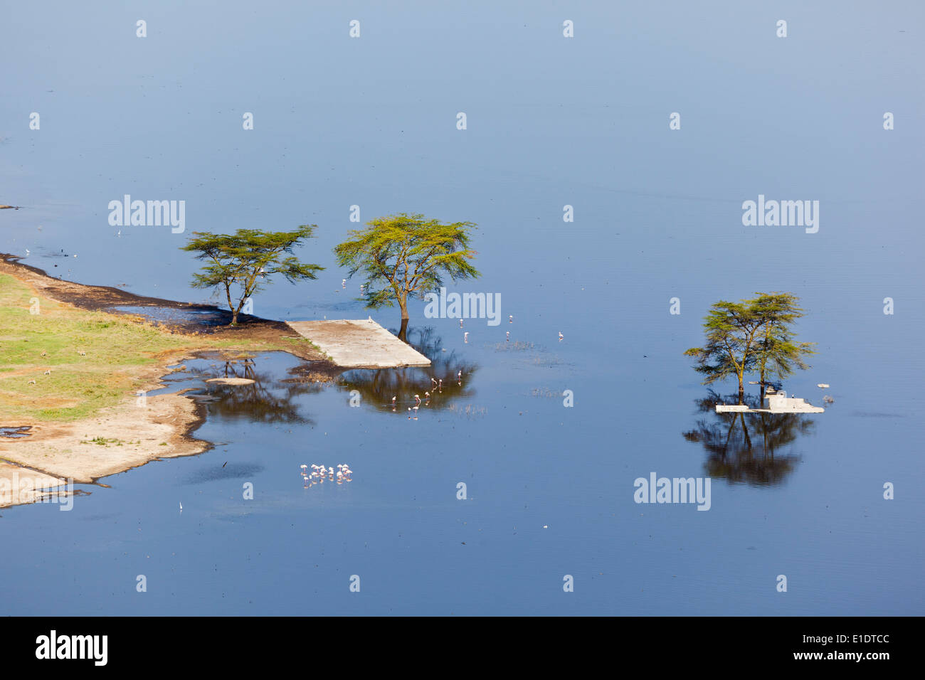 Nakuru lake aerial hi-res stock photography and images - Alamy