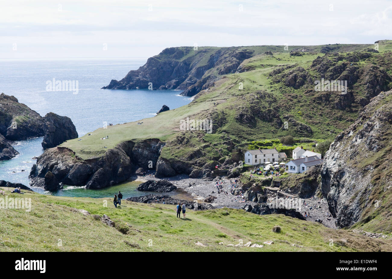 Kynance Cove near Lizard Point in Cornwall England UK Stock Photo - Alamy