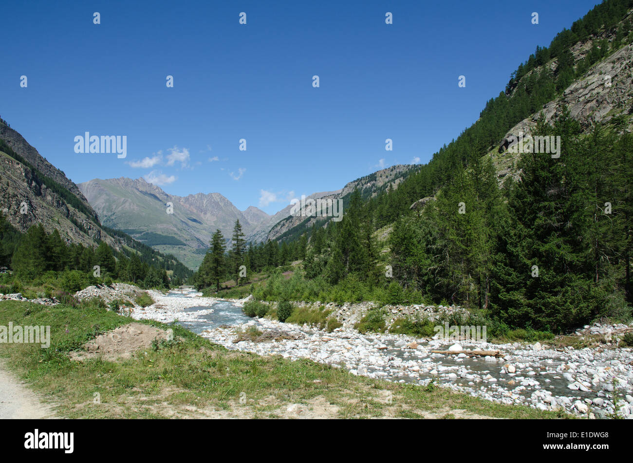 alpine river and valley Stock Photo - Alamy