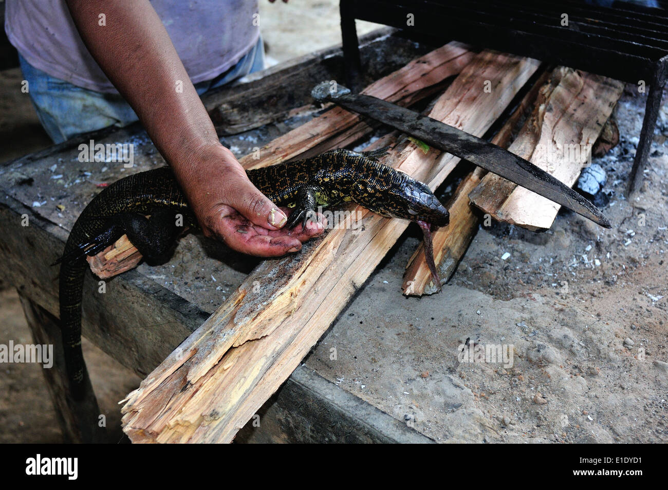 Lizard cooking - Traditional kitchen in Industria - PANGUANA ...