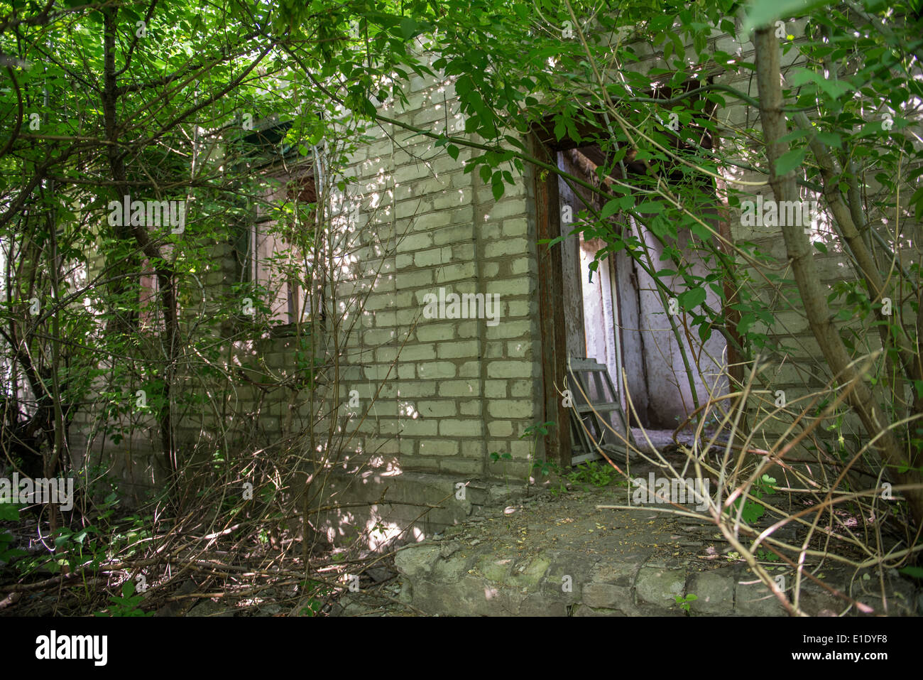 Ruins of Viktor Fedorovych Yanukovych (former Ukrainian president) home ...