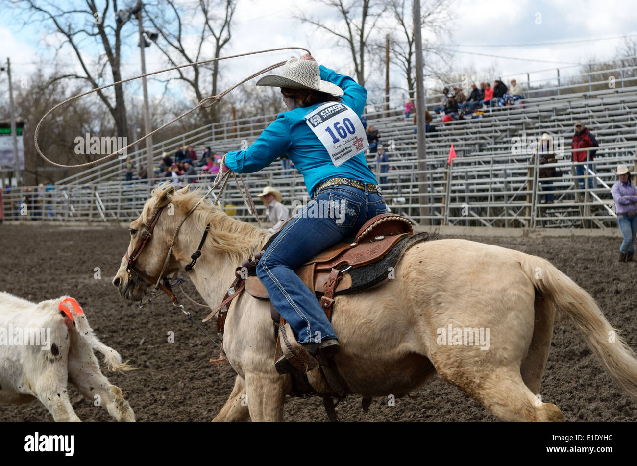 Teenage girl races to lasso calf in High School Rodeo Stock Photo - Alamy
