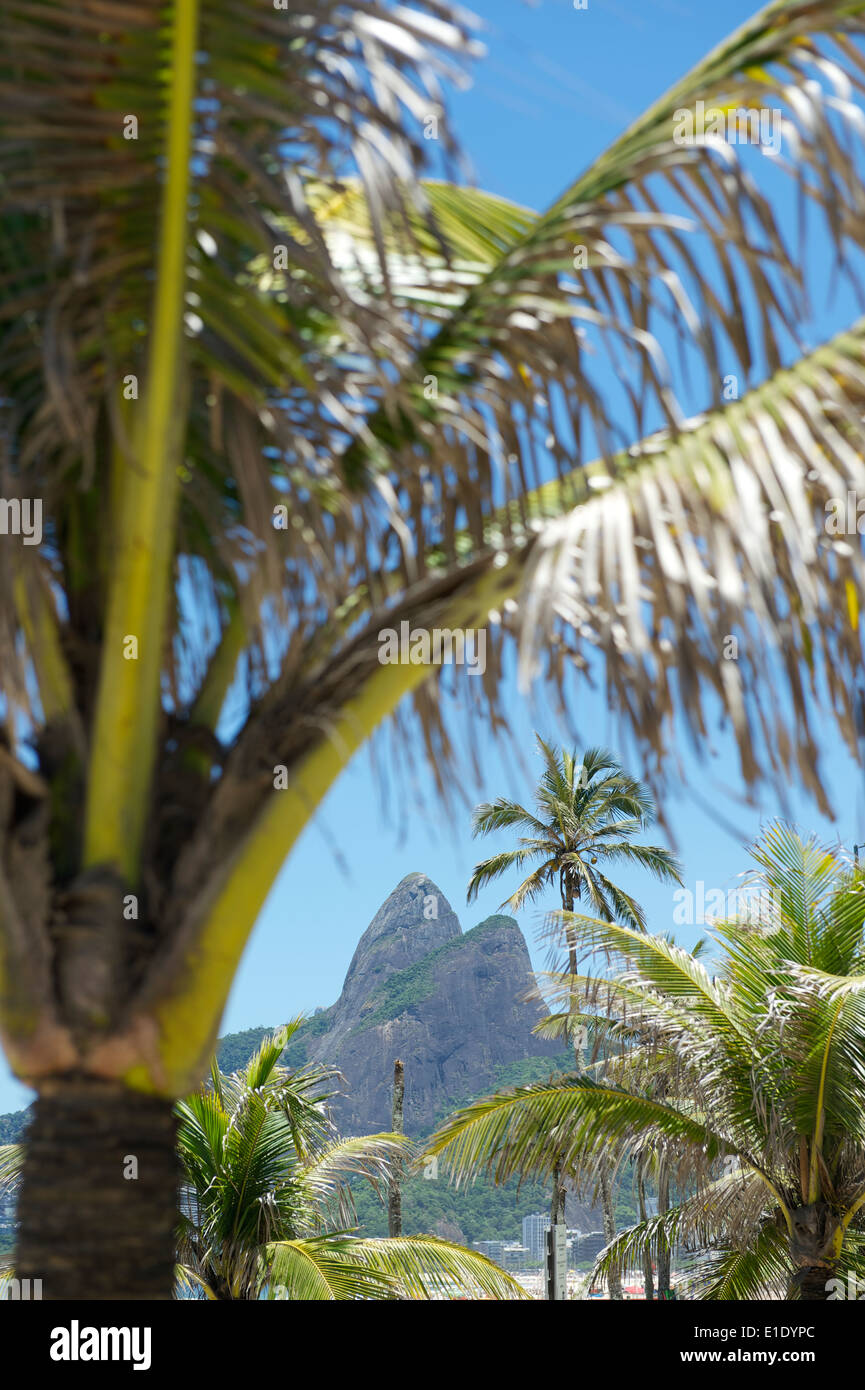 Tropical view of Two Brothers Mountain through palm trees at Ipanema ...