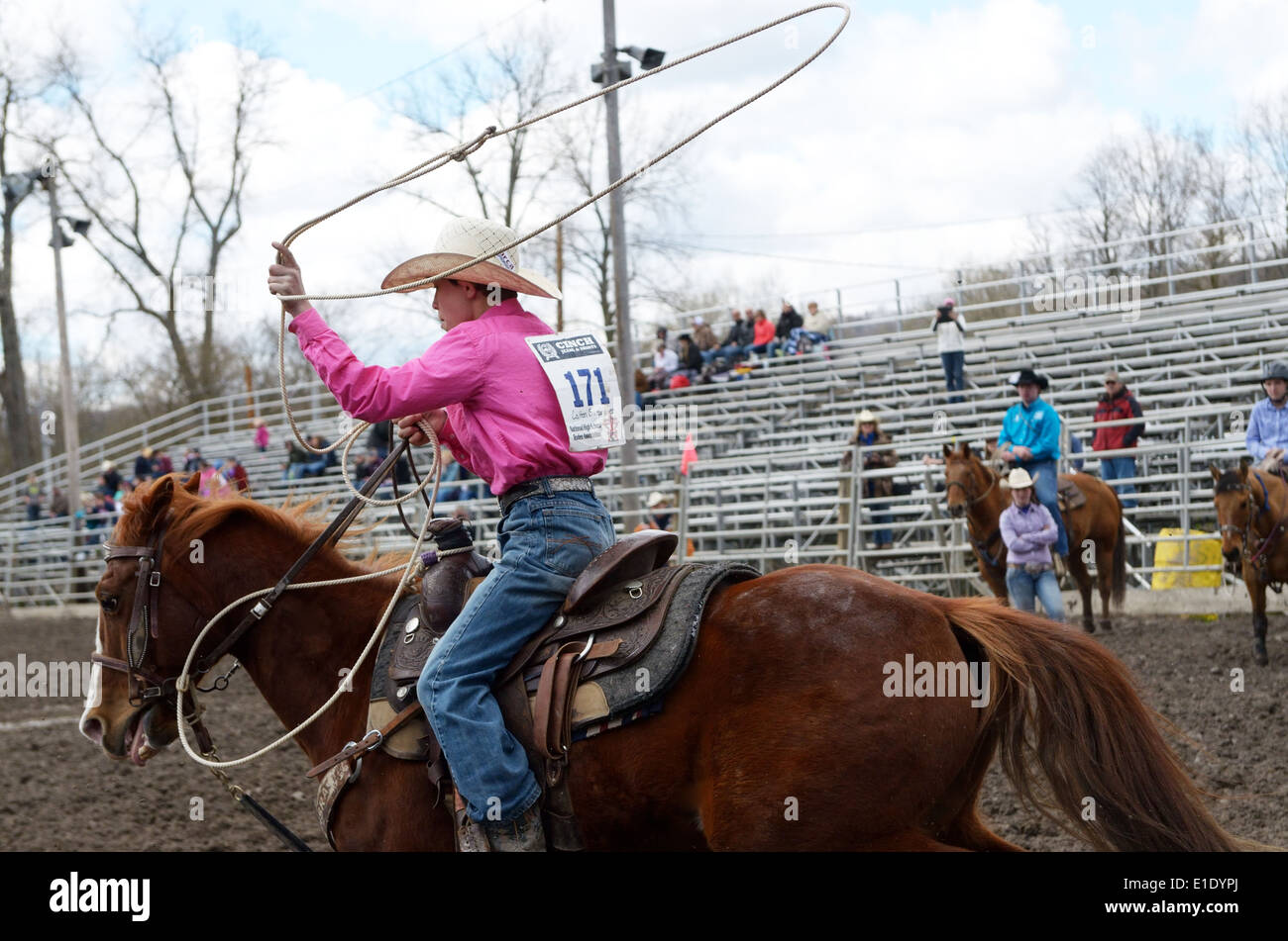 Girl roping calf hi-res stock photography and images - Alamy