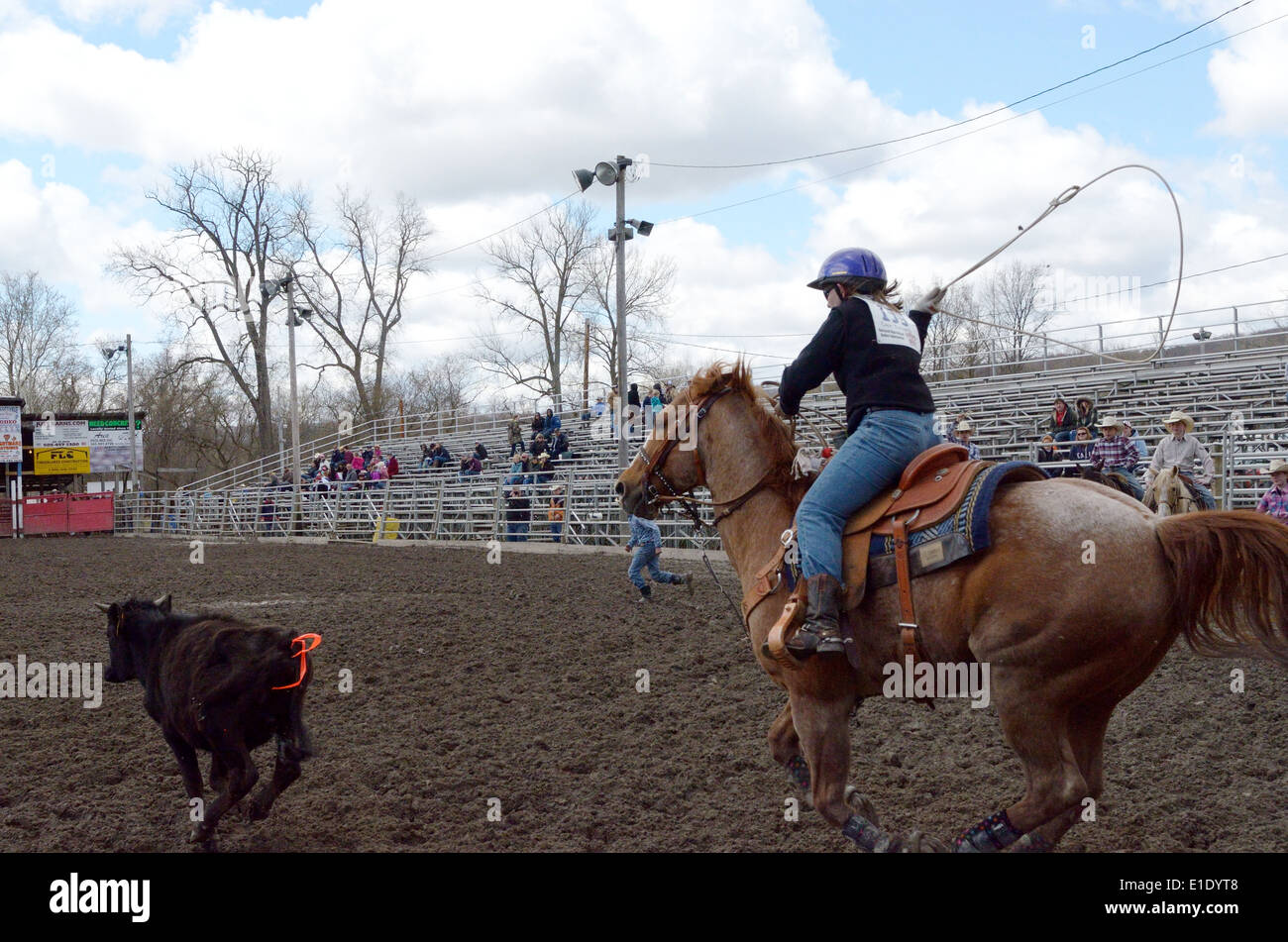 Teenage girl races to lasso calf in High School Rodeo Stock Photo - Alamy