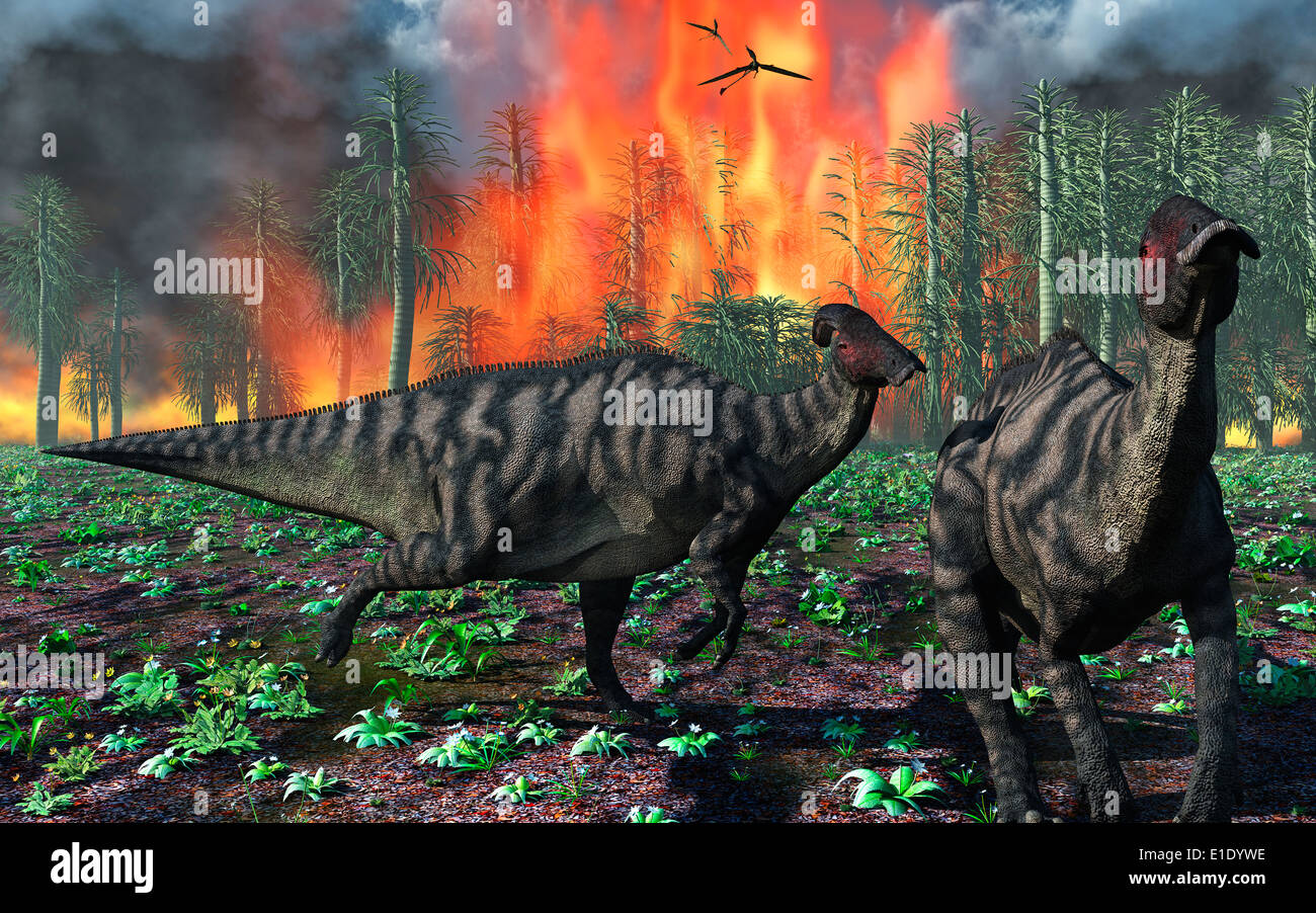 A Pair Of Parasaurolophus Dinosaurs, Fleeing From A Forrest Fire Stock ...