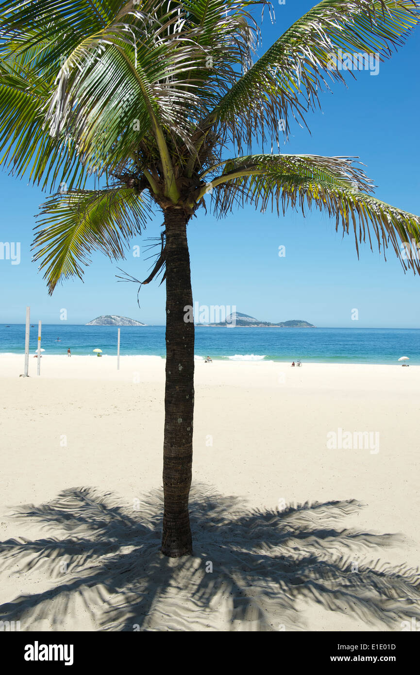 Ipanema Beach Rio de Janeiro view with palm tree and shadow on the ...