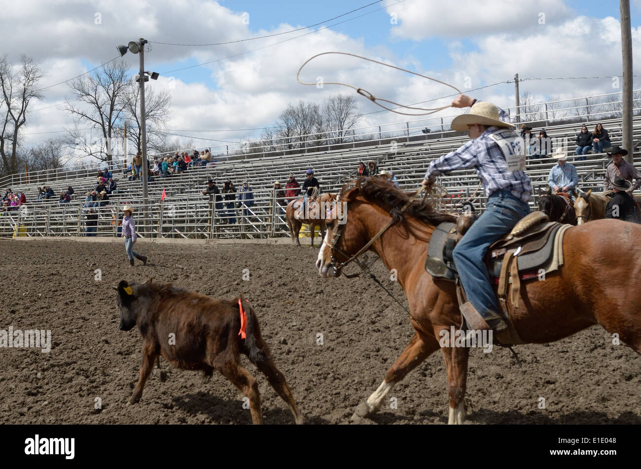 Girl roping calf hi-res stock photography and images - Alamy