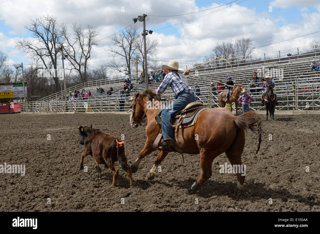 Girl roping calf hi-res stock photography and images - Alamy