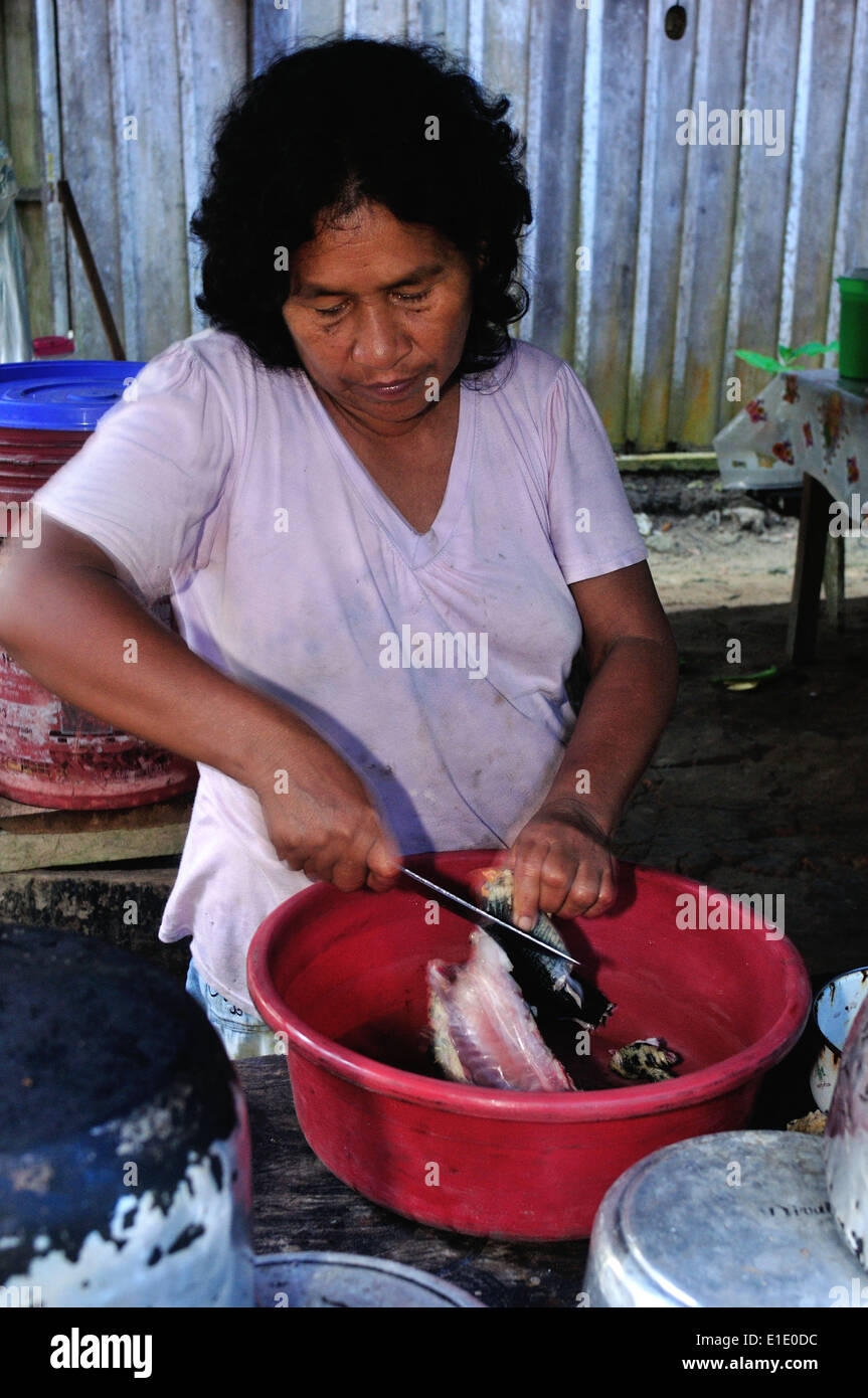 Lizard cooking - Traditional kitchen in Industria - PANGUANA ...