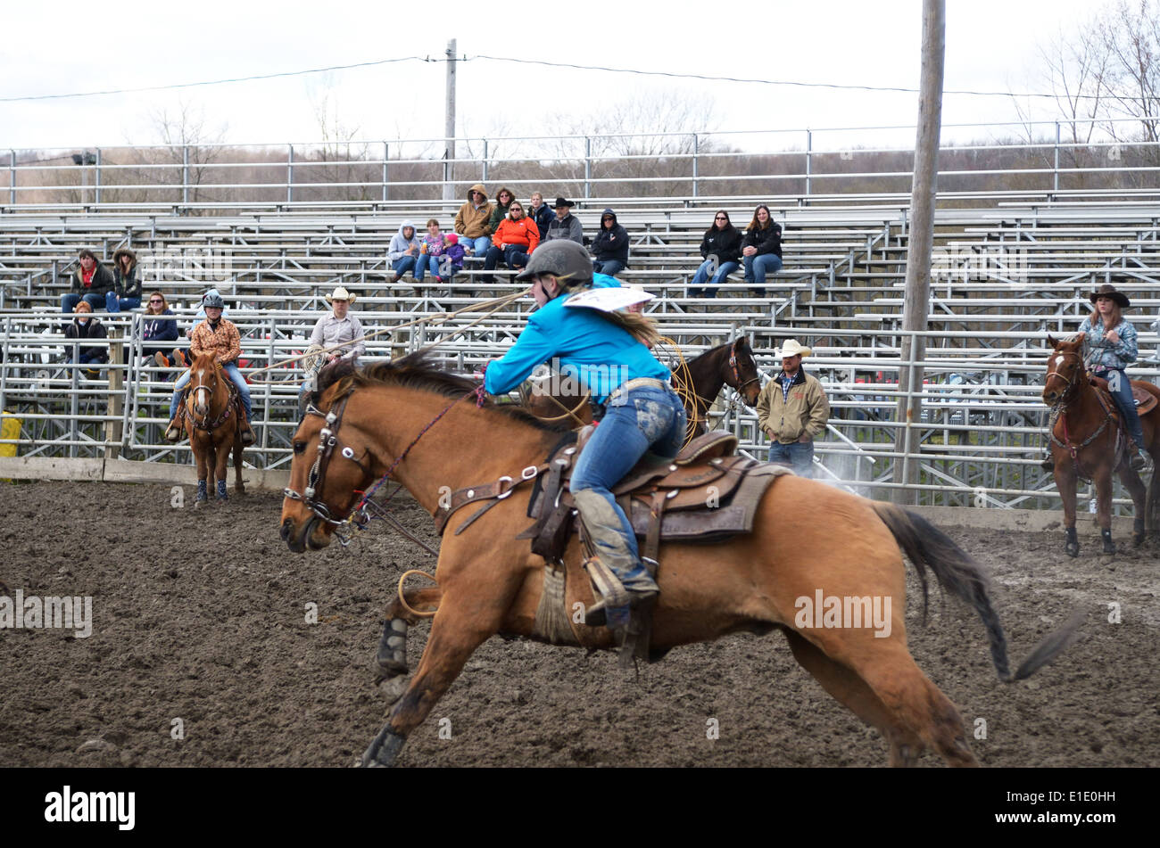 Teenage girl races to lasso calf in High School Rodeo Stock Photo - Alamy
