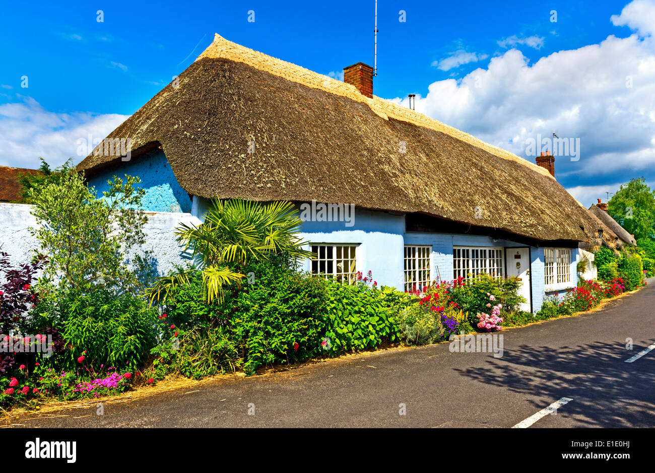 A country thatched cottage in Dorset England Stock Photo - Alamy