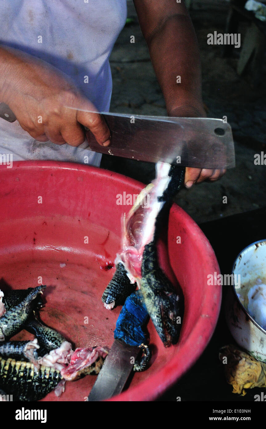 Lizard cooking - Traditional kitchen in Industria - PANGUANA ...